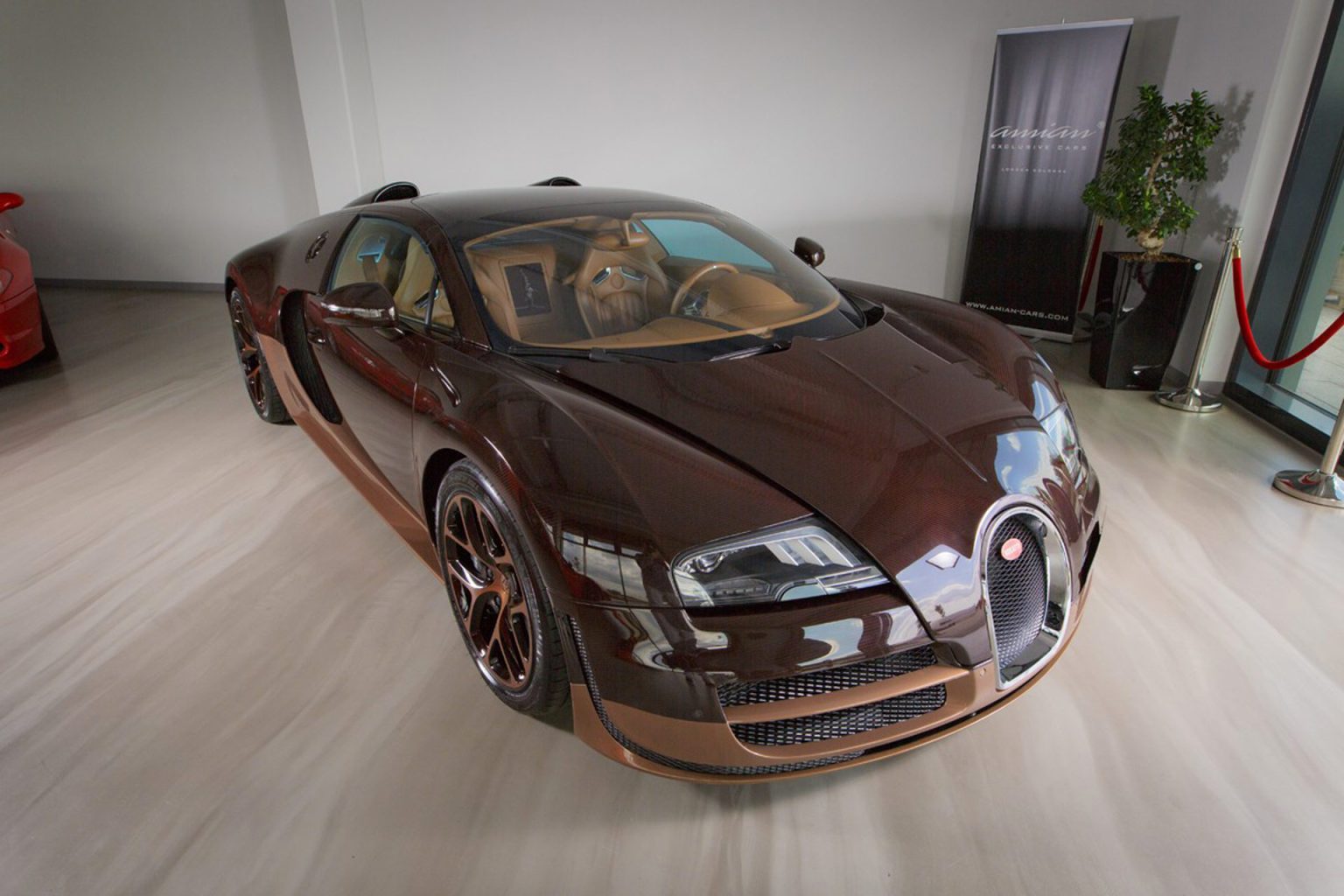 Bugatti Veyron 16.4 * Rembrandt Edition * – Amian Cars Köln – Amian ...